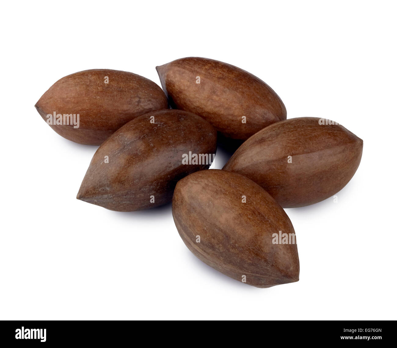 Pecan shell hi-res stock photography and images - Alamy