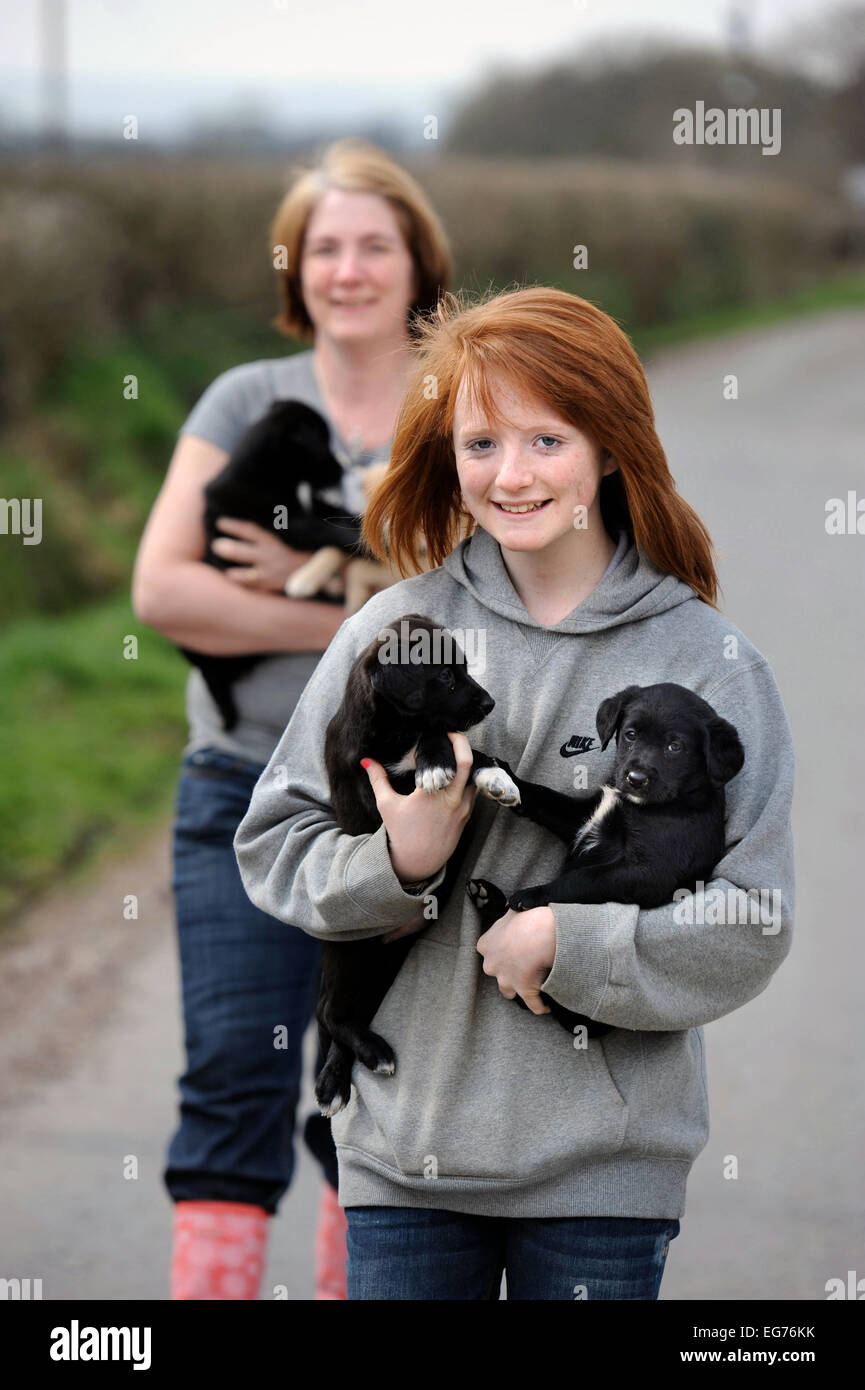Children rescued with dogs hi-res stock photography and images - Alamy