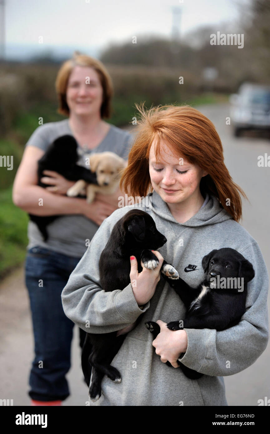 Volunteers exercising puppies at the Many Tears Animal Rescue centre ...