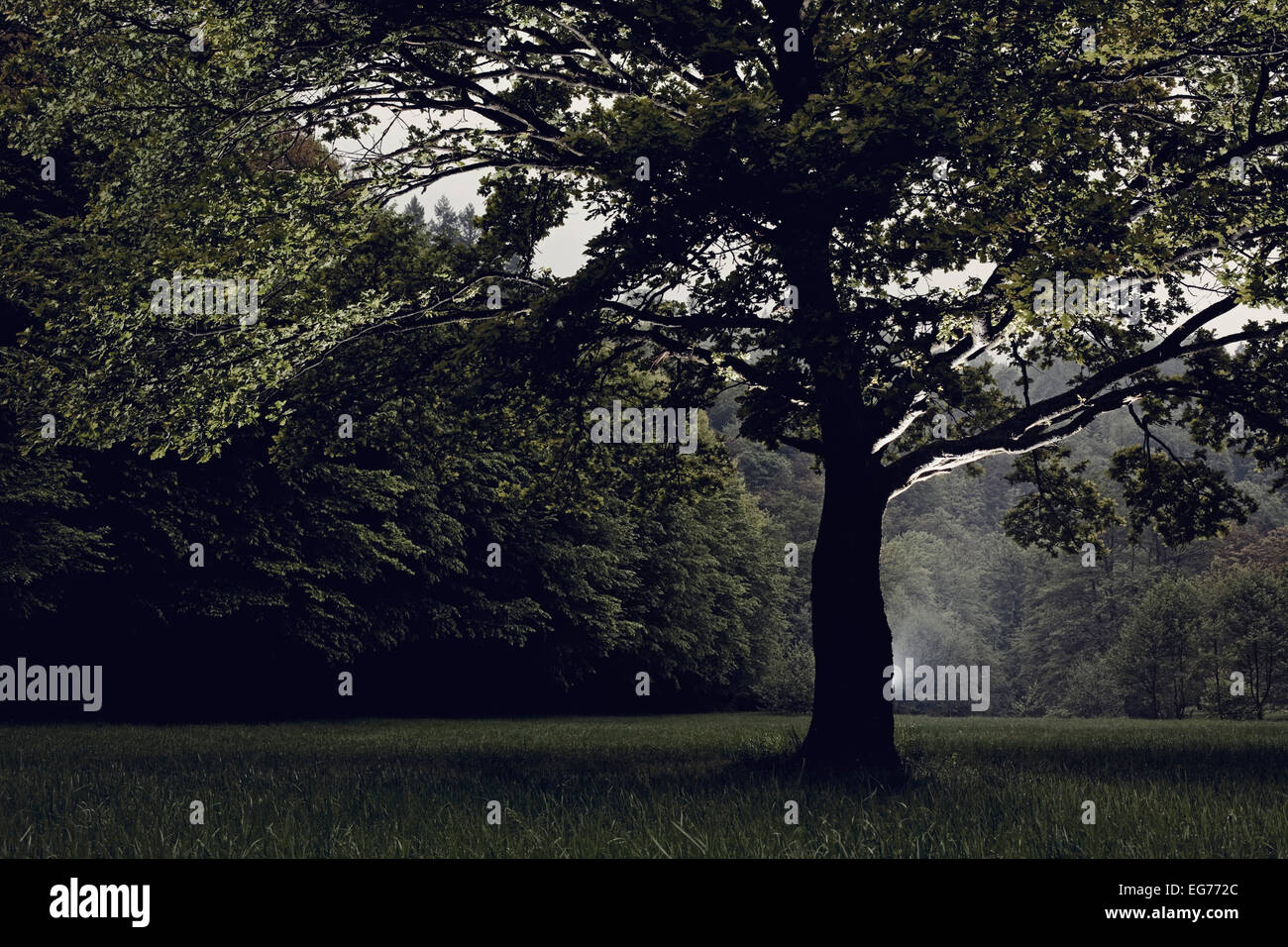 Pforzheim, germany hi-res stock photography and images - Alamy