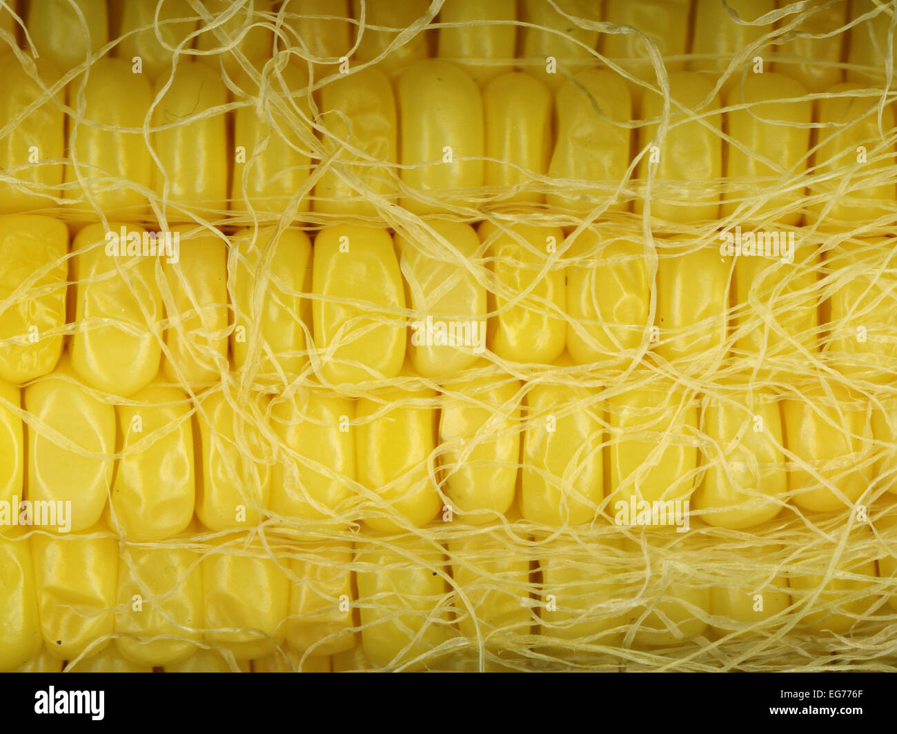Closeup of corn cop Stock Photo - Alamy