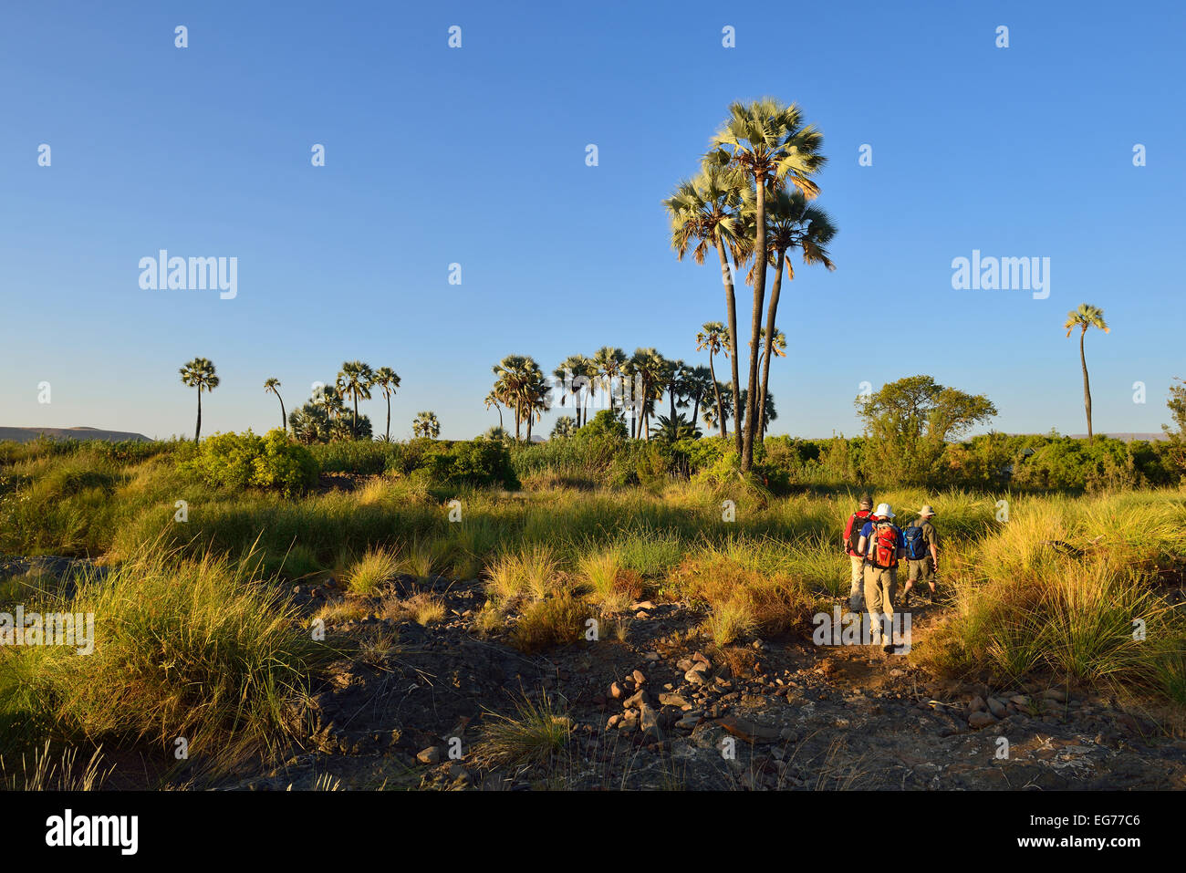 Namibia, Palmwag, group of people hiking in Uniab River valley Stock ...