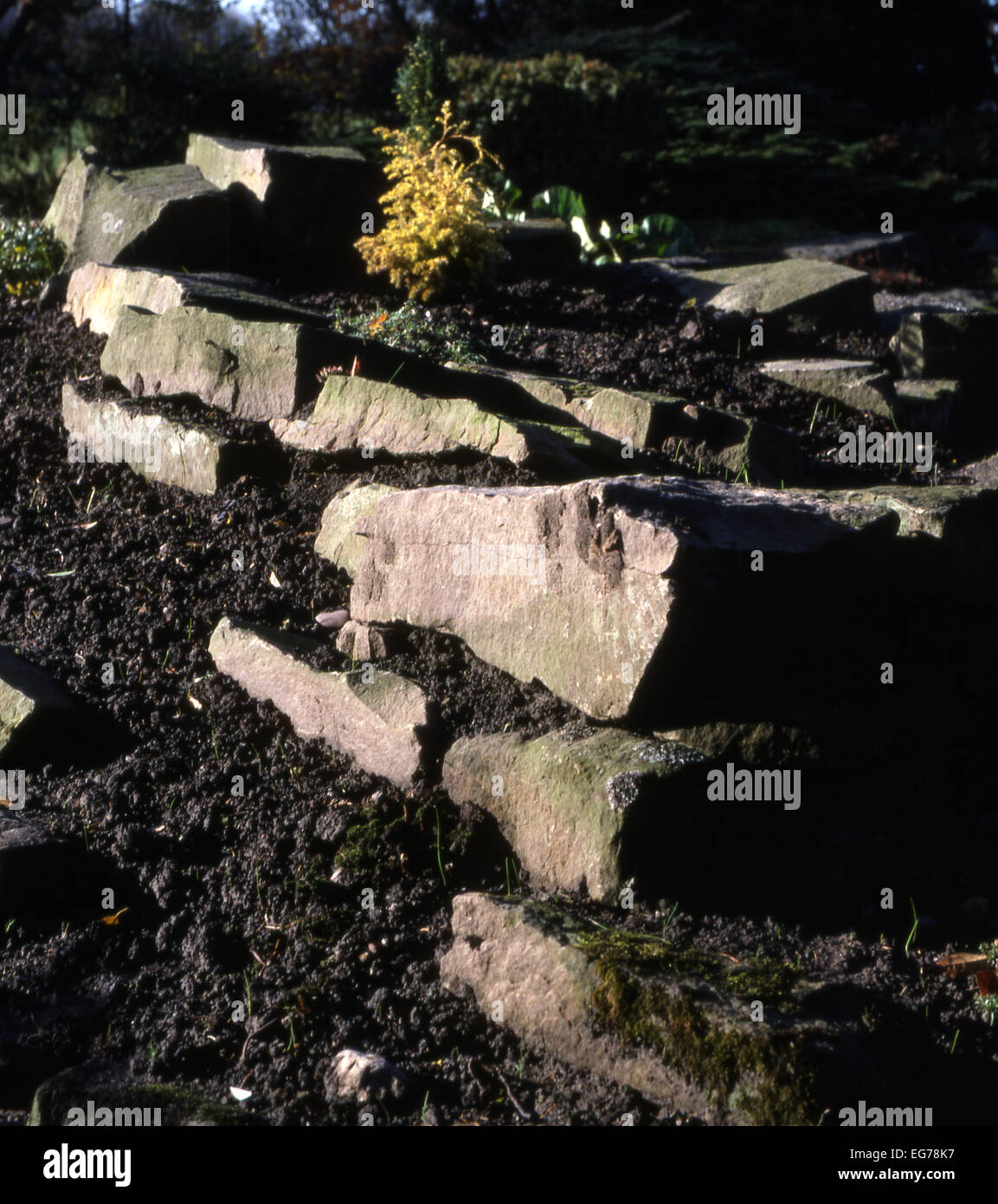 Placed carefully hi-res stock photography and images - Alamy