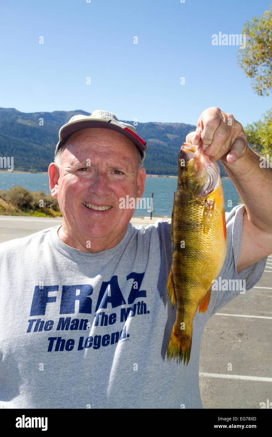 World Record Yellow Perch