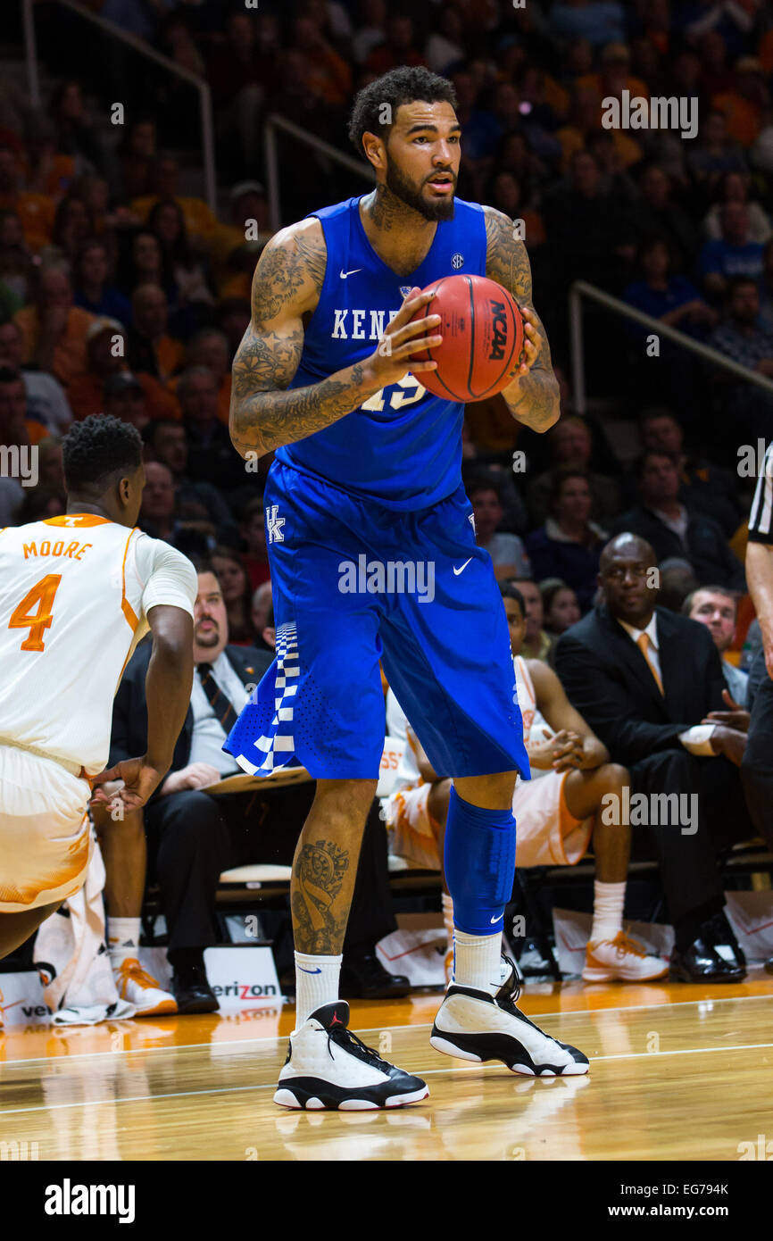 February 17, 2015: Willie Cauley-Stein #15 of the Kentucky Wildcats ...