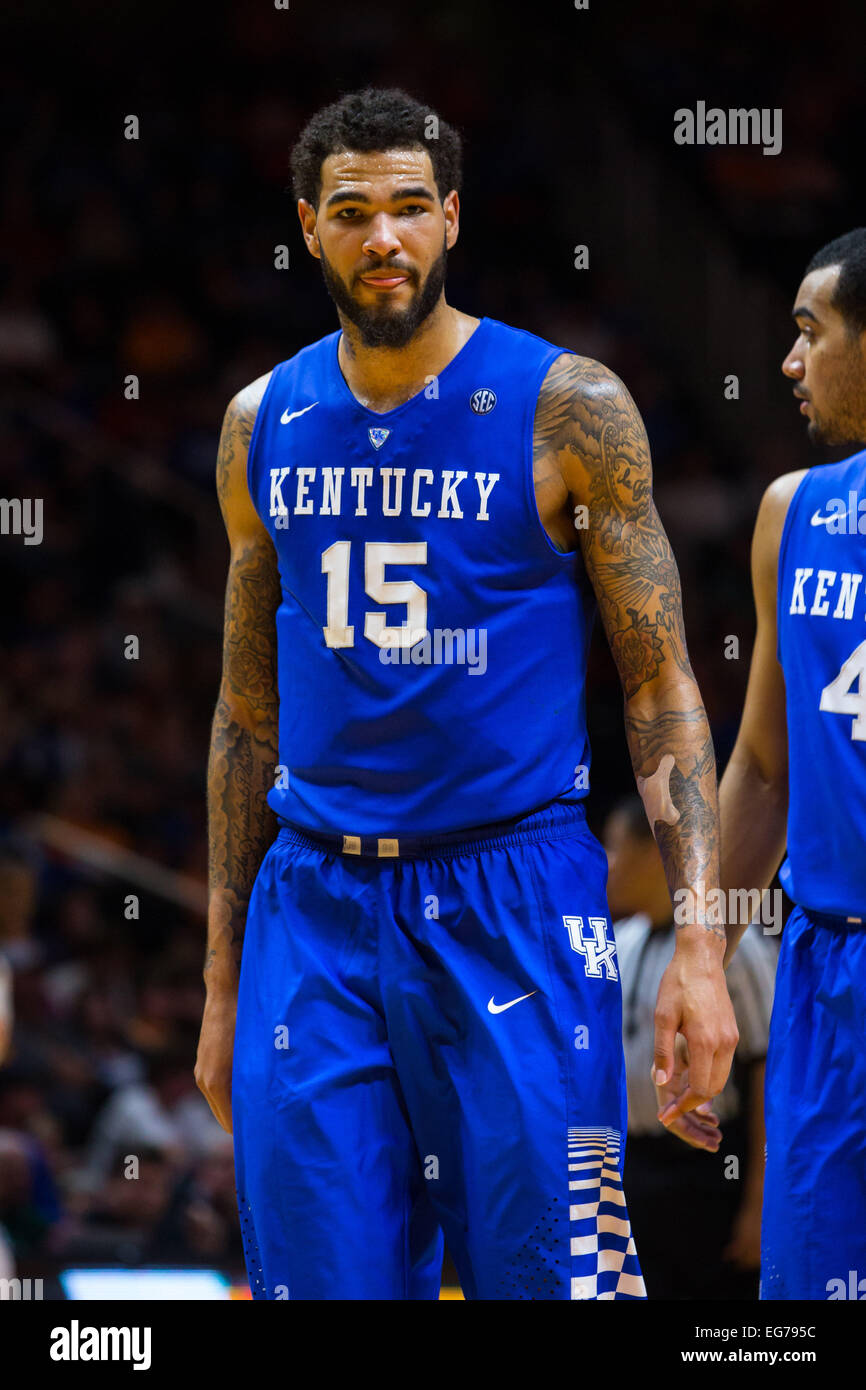 February 17, 2015: Willie Cauley-Stein #15 of the Kentucky Wildcats ...