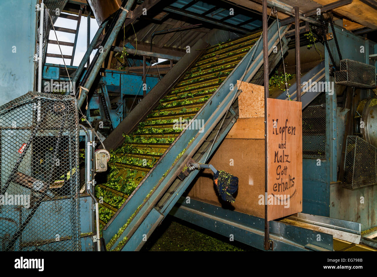 Germany, Bavaria, Attenhofen, hop processing in barn Stock Photo - Alamy