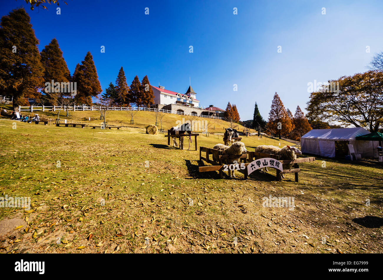Rokkosan dairy farm hi-res stock photography and images - Alamy