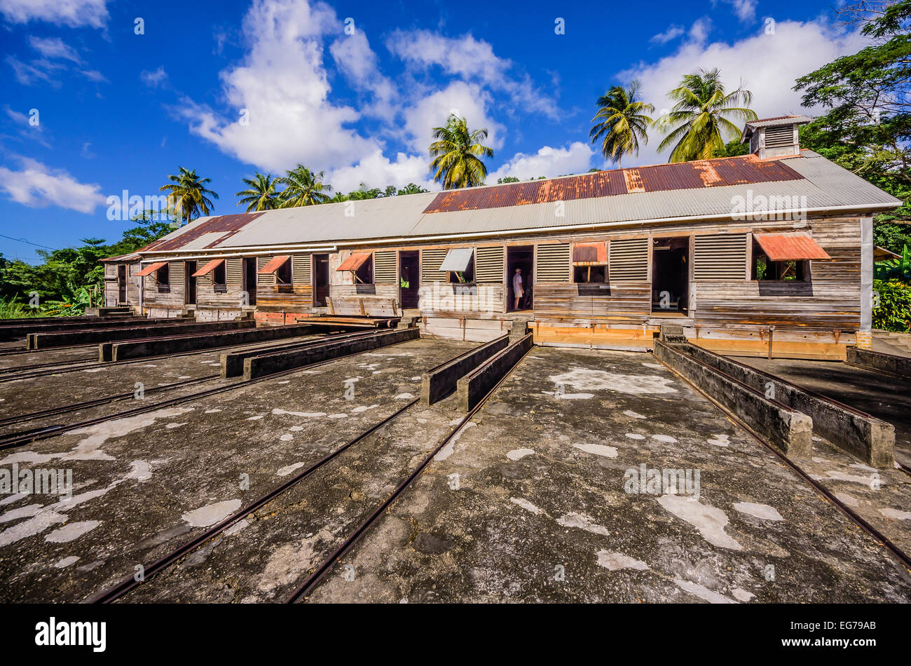 Gouyave hi-res stock photography and images - Alamy