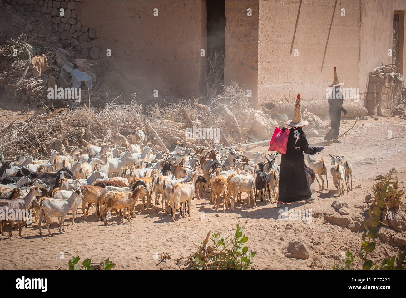 HADRAMAUT, YEMEN - February, 22: Hadramaut "witches", yemeni women in ...