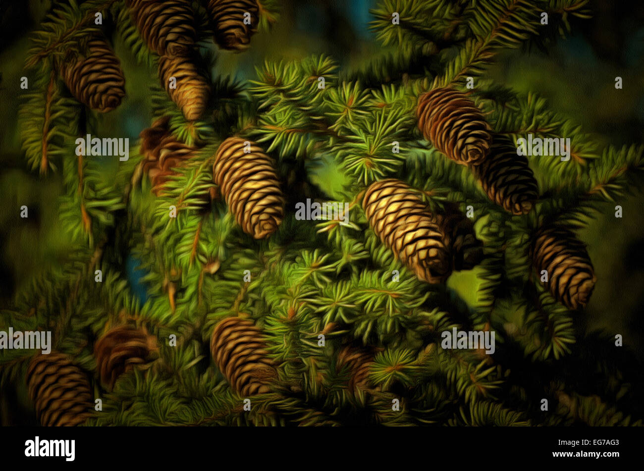 Photo bump, pine, plants, flora, garden, plant Stock Photo - Alamy