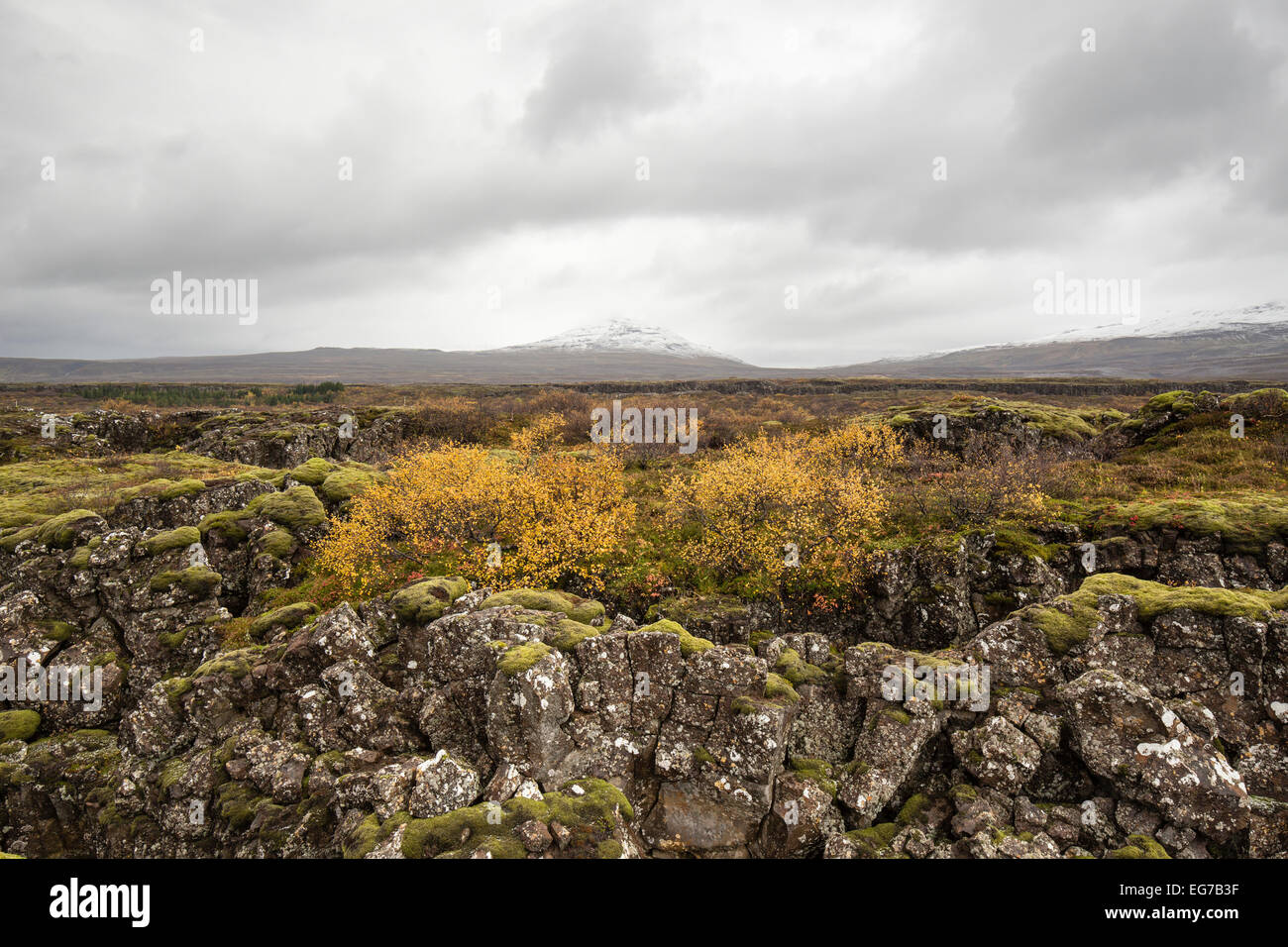 Snaefellsness lava field with mountain in distance Stock Photo - Alamy
