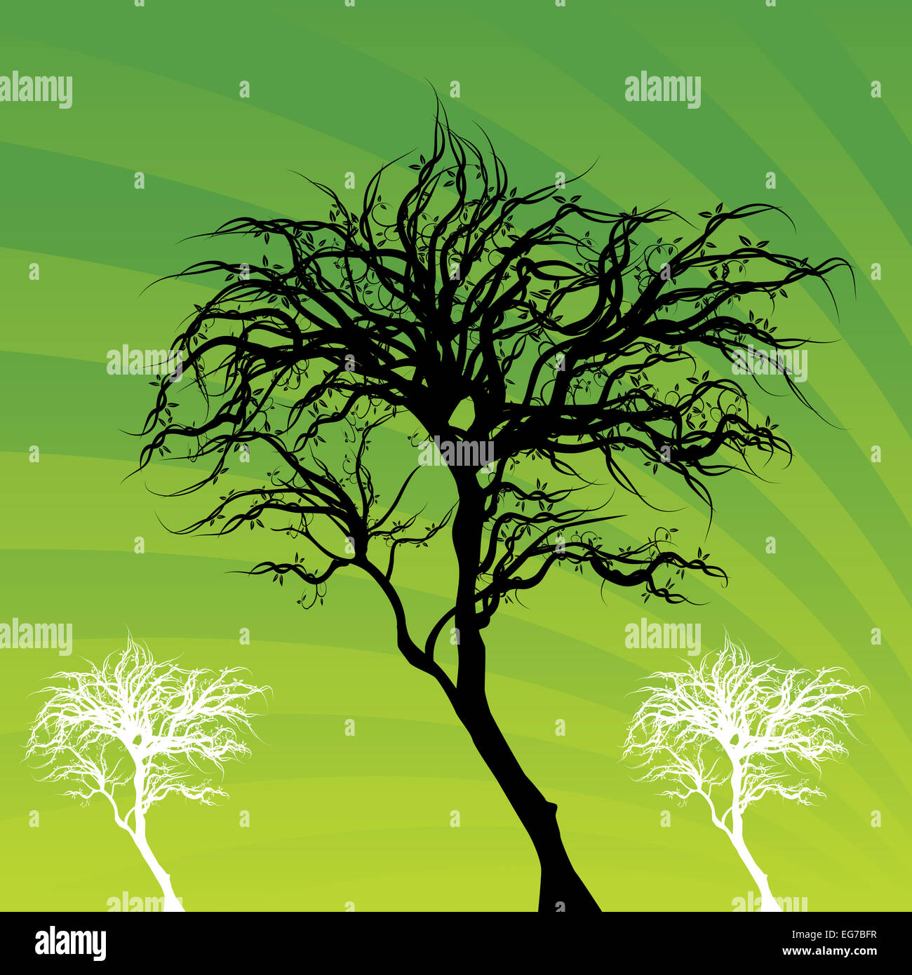 An image of a tree background Stock Photo - Alamy