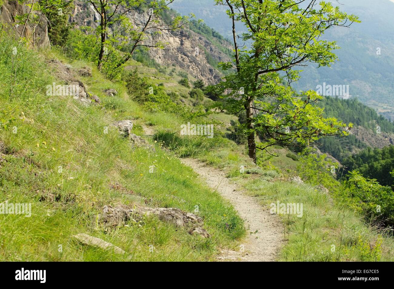 Hiking trail wanderweg hi-res stock photography and images - Alamy