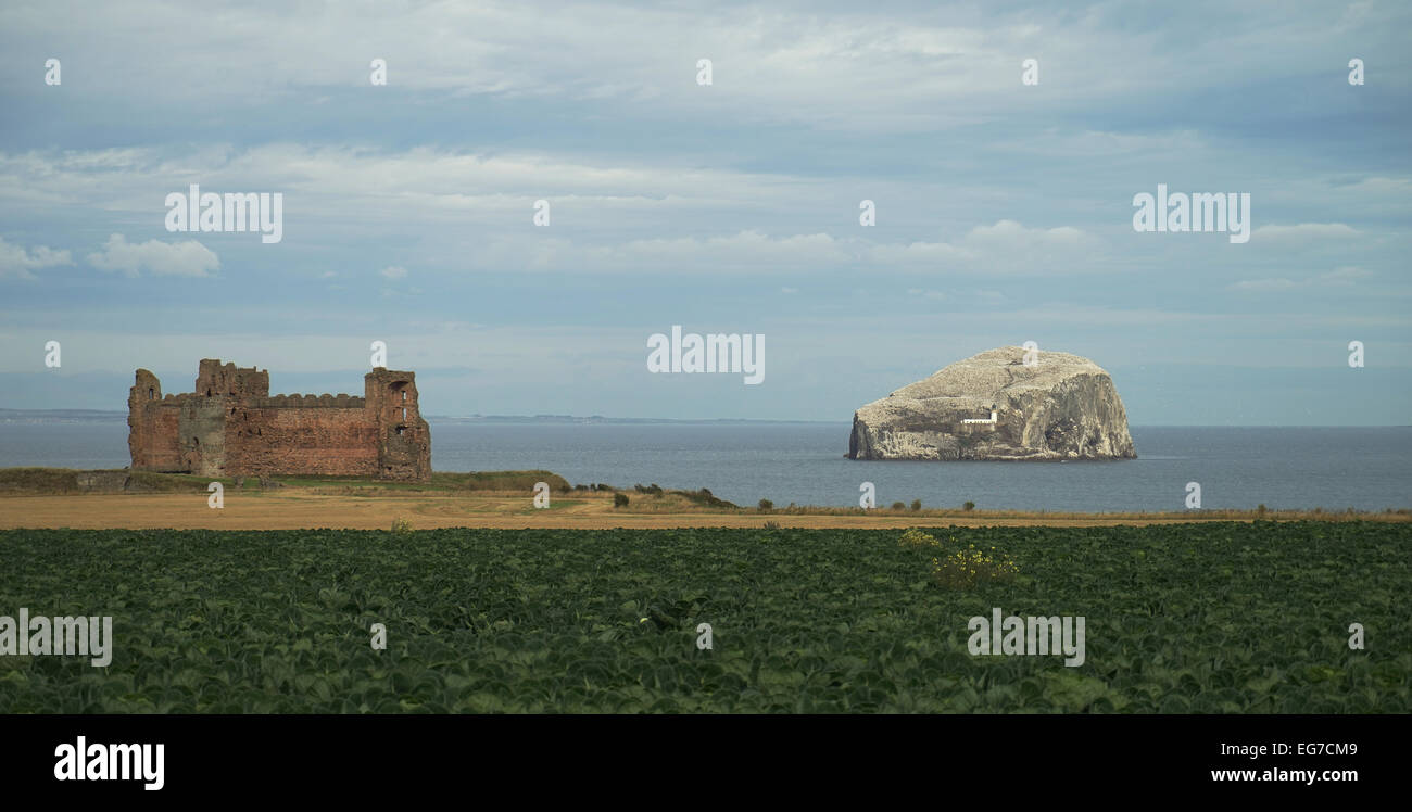 The Bass Rock and Tantallon Castle in The Firth of Forth Stock Photo ...