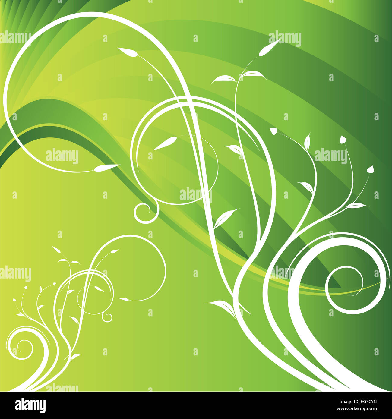 An image of a floral branch energy Stock Photo - Alamy