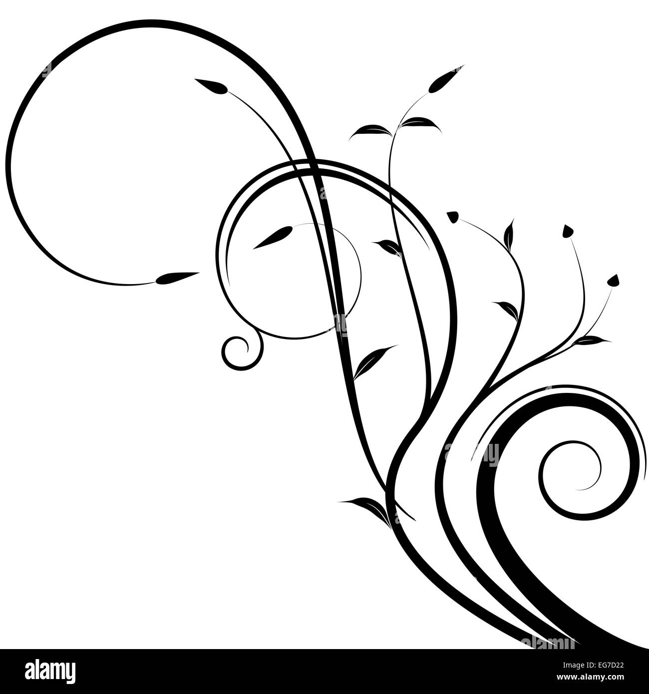 Vine branch spring Black and White Stock Photos & Images - Alamy