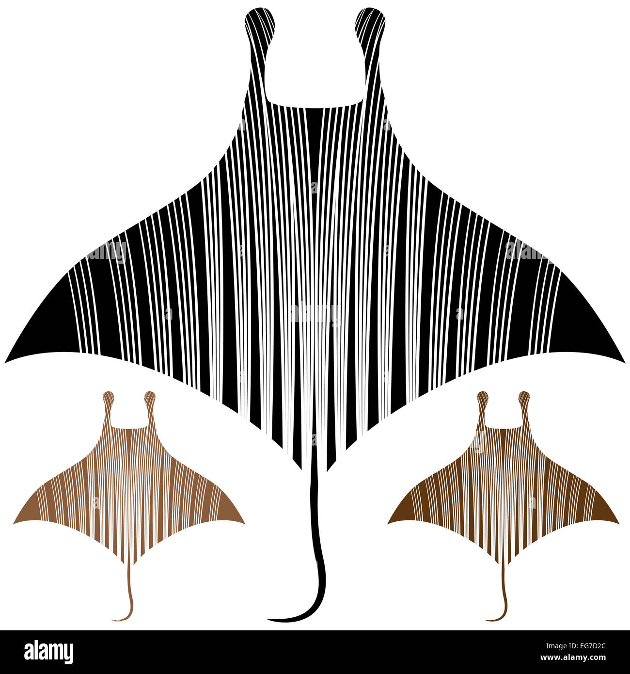 Black manta ray Cut Out Stock Images & Pictures - Alamy