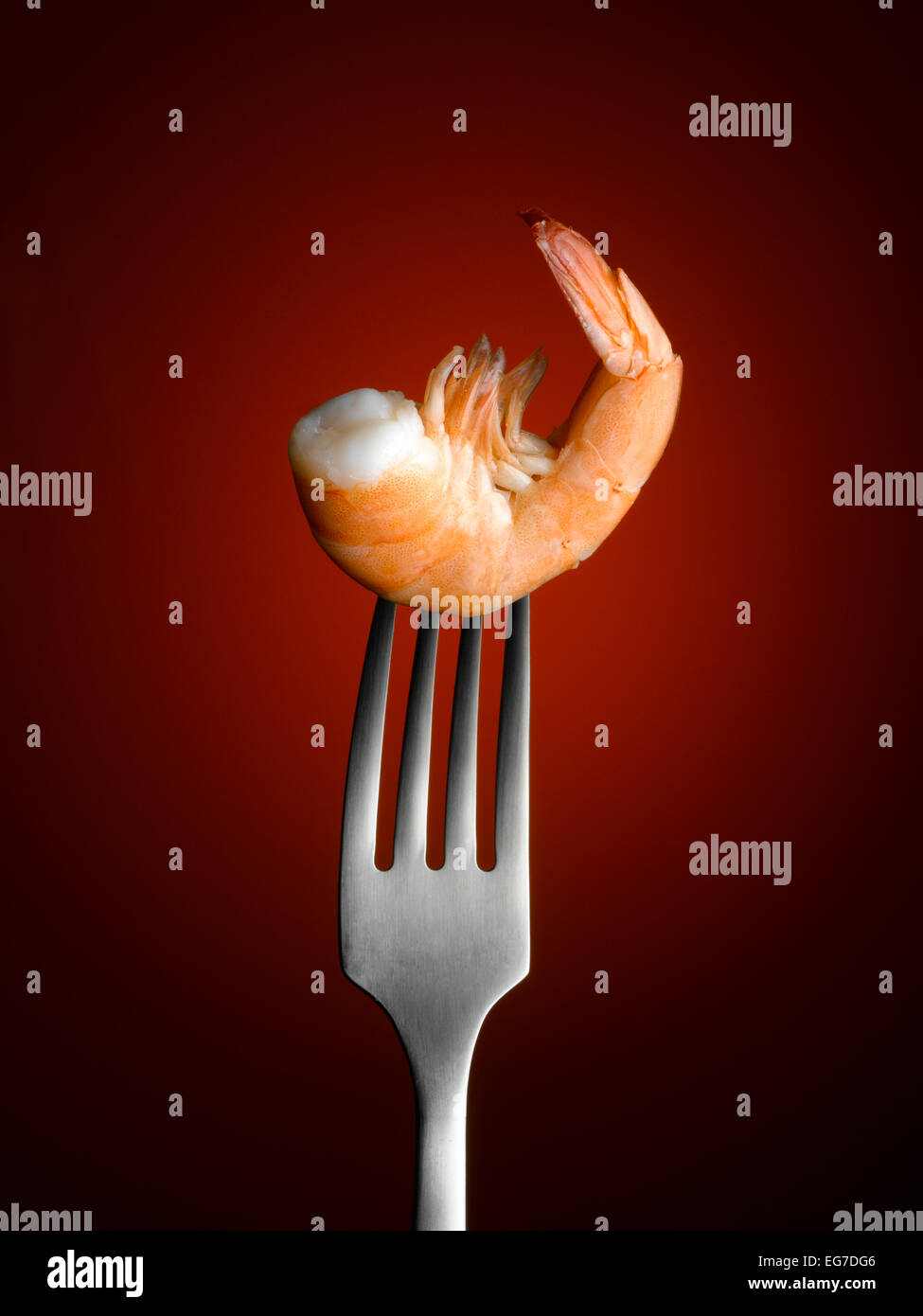 Shrimp on Fork Stock Photo - Alamy