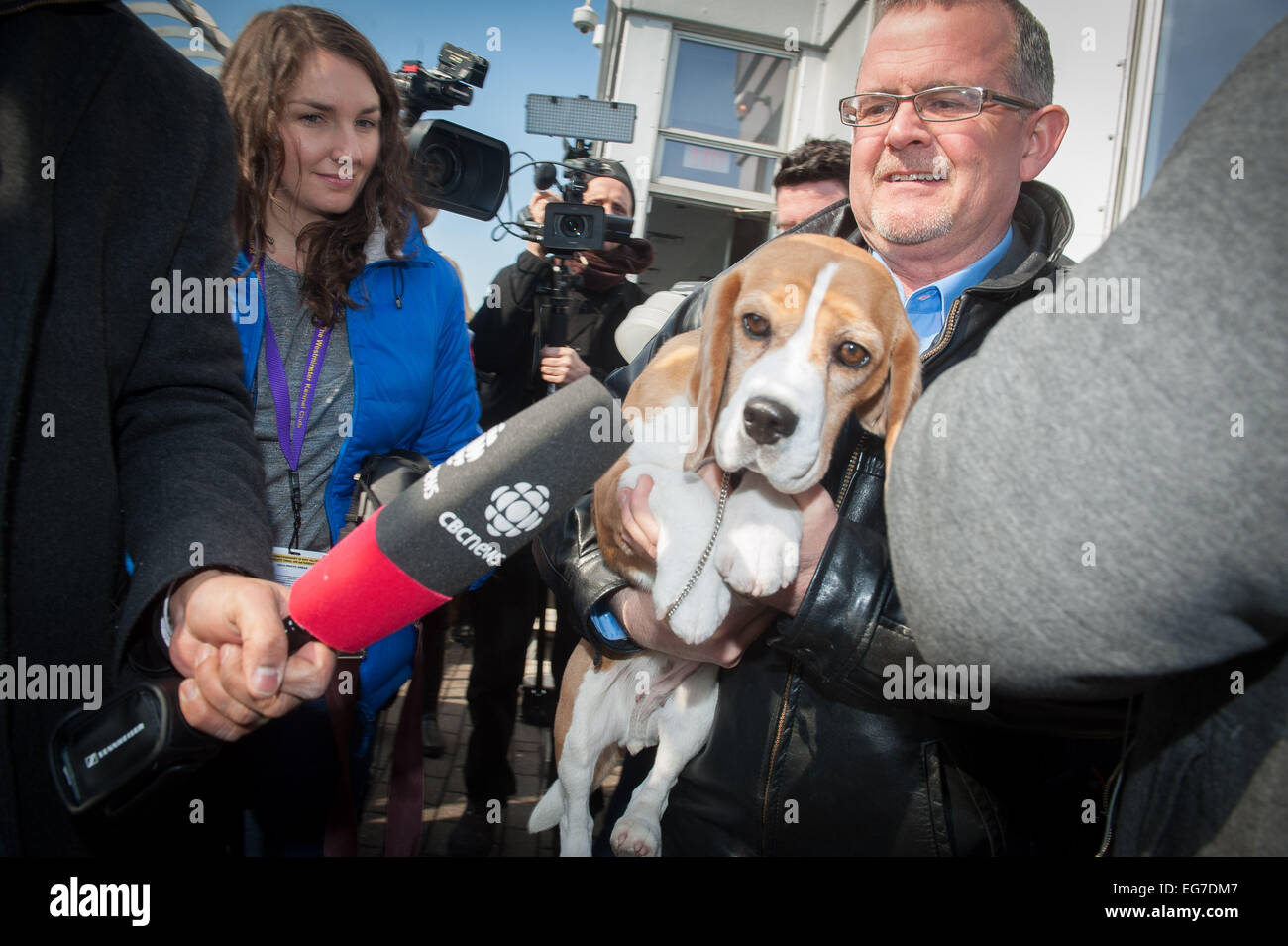 Manhattan, New York, USA. 18th Feb, 2015. 2015 Westminster Kennel Club ...