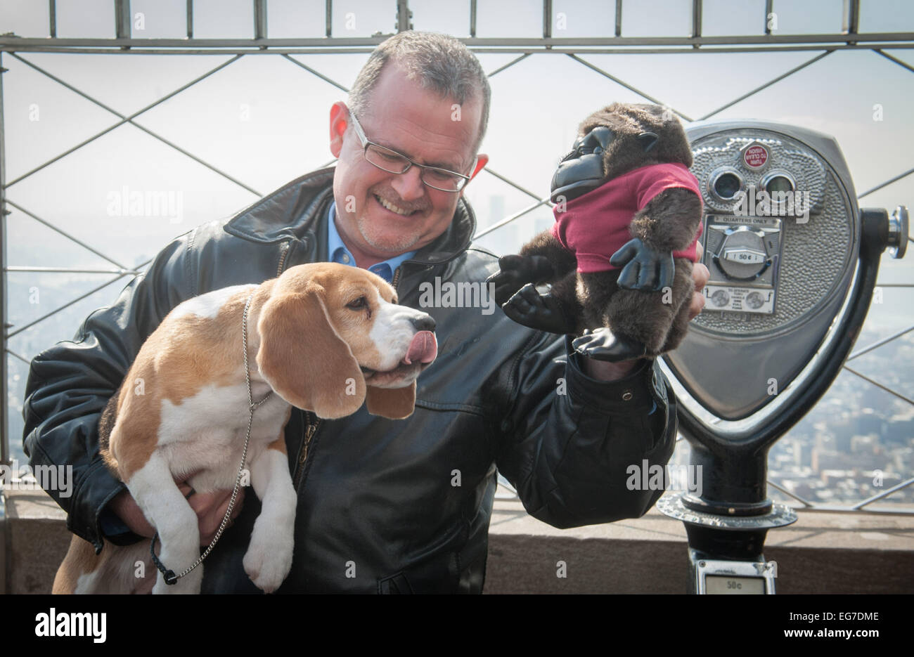 Manhattan, New York, USA. 18th Feb, 2015. 2015 Westminster Kennel Club ...