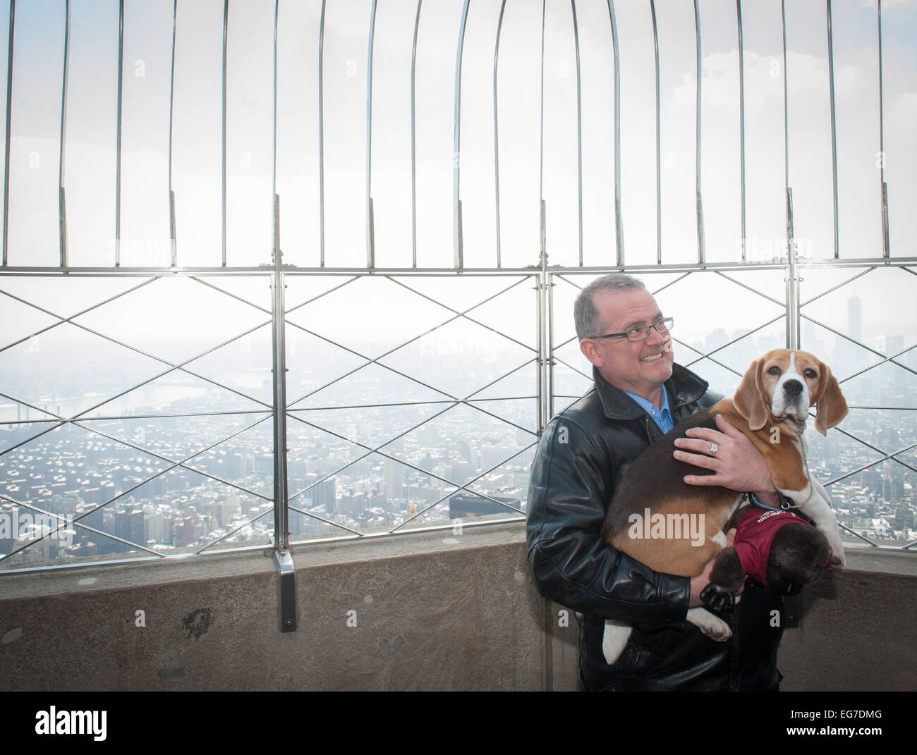 Manhattan, New York, USA. 18th Feb, 2015. 2015 Westminster Kennel Club ...