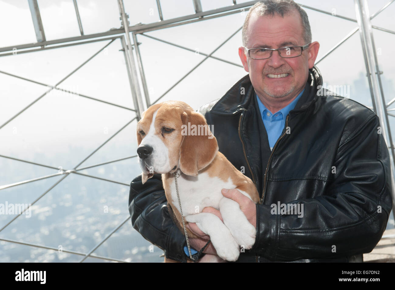 Manhattan, New York, USA. 18th Feb, 2015. 2015 Westminster Kennel Club ...
