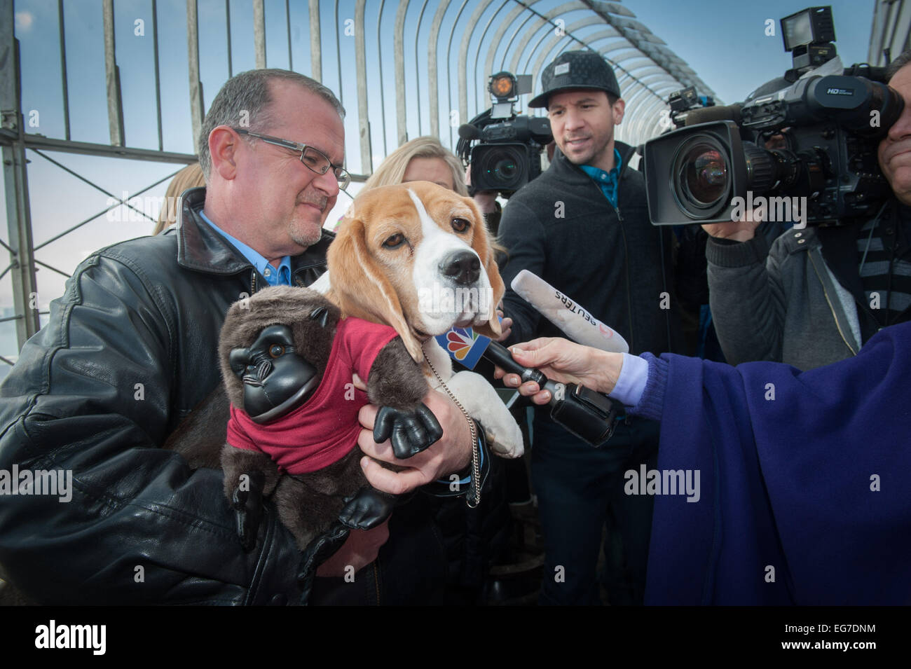Manhattan, New York, USA. 18th Feb, 2015. 2015 Westminster Kennel Club ...