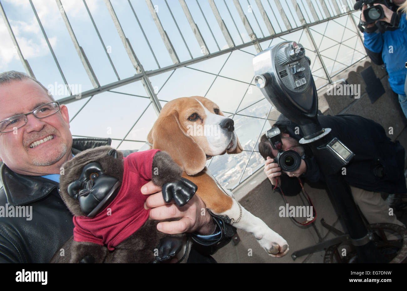 Manhattan, New York, USA. 18th Feb, 2015. 2015 Westminster Kennel Club ...