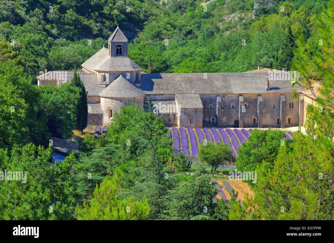 Abbey senanque abtei senanque hi-res stock photography and images - Alamy