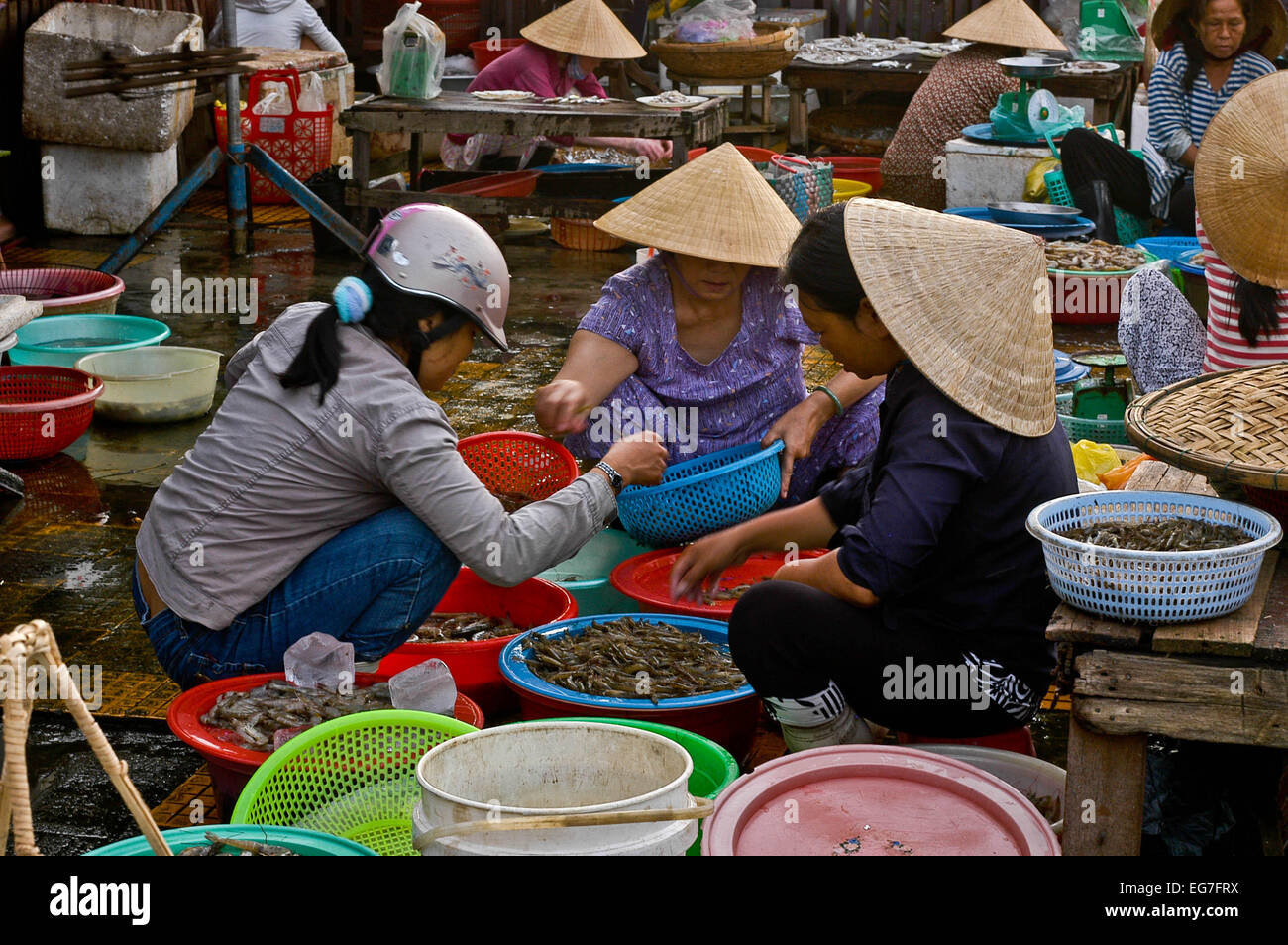 Vietnam fish market women sorting catch hi-res stock photography and ...