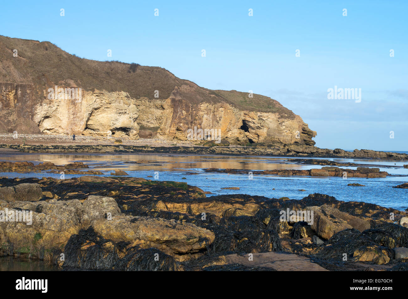 Blackhall Rocks County Durham coast, England, UK Stock Photo - Alamy
