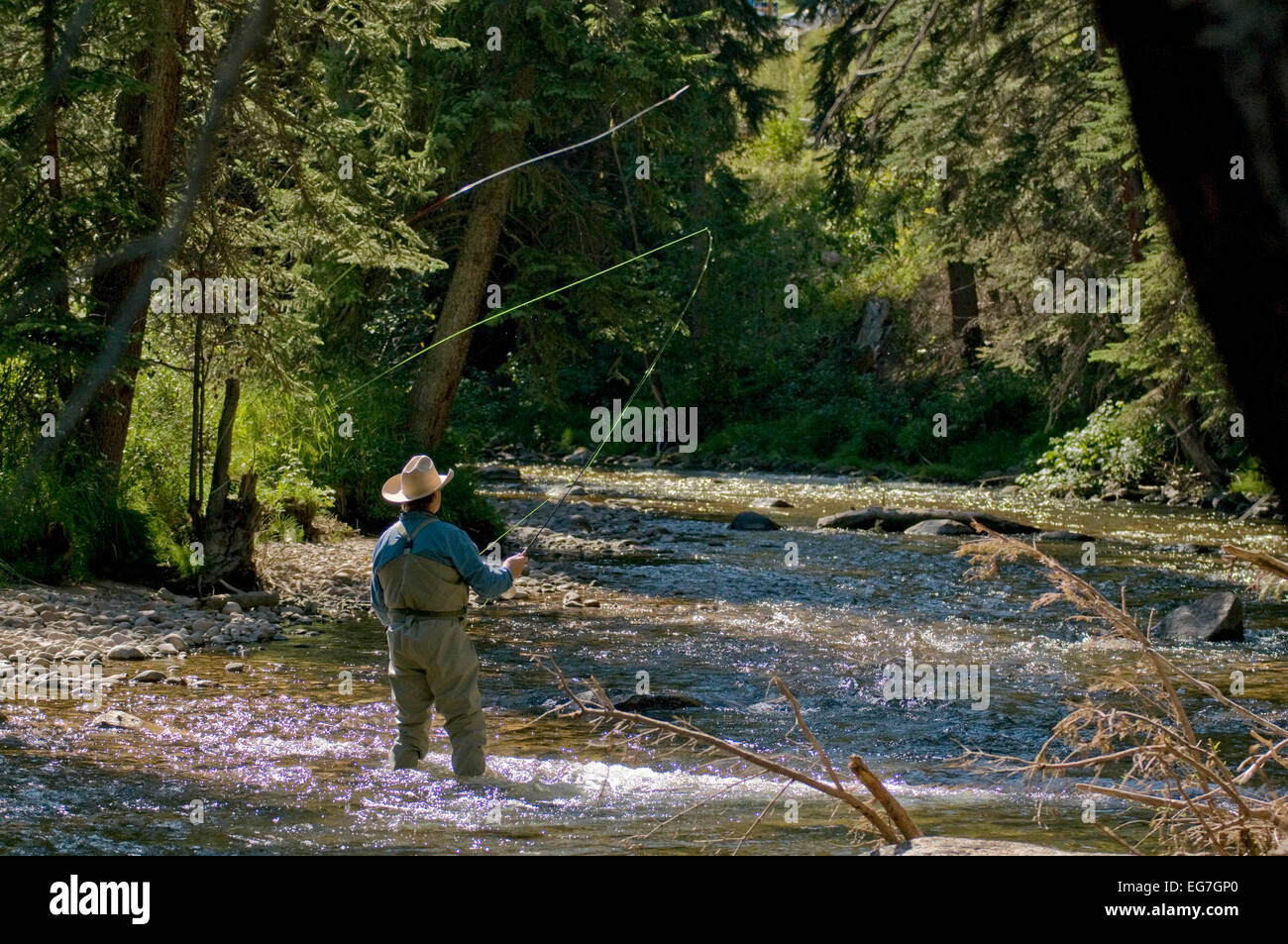 Colorado Fly fisherman Stock Photo - Alamy