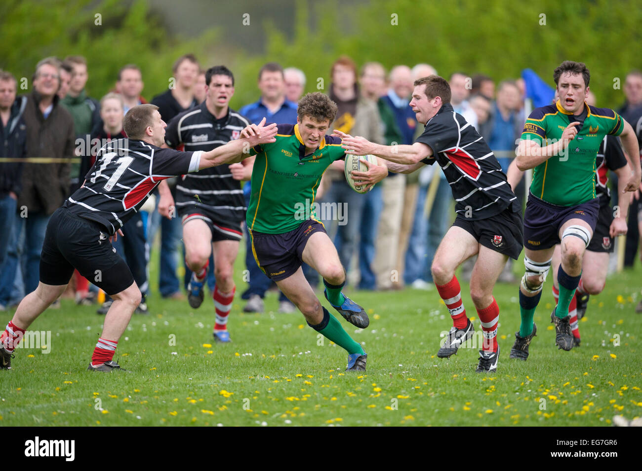 Rugby, player being tackled Stock Photo - Alamy