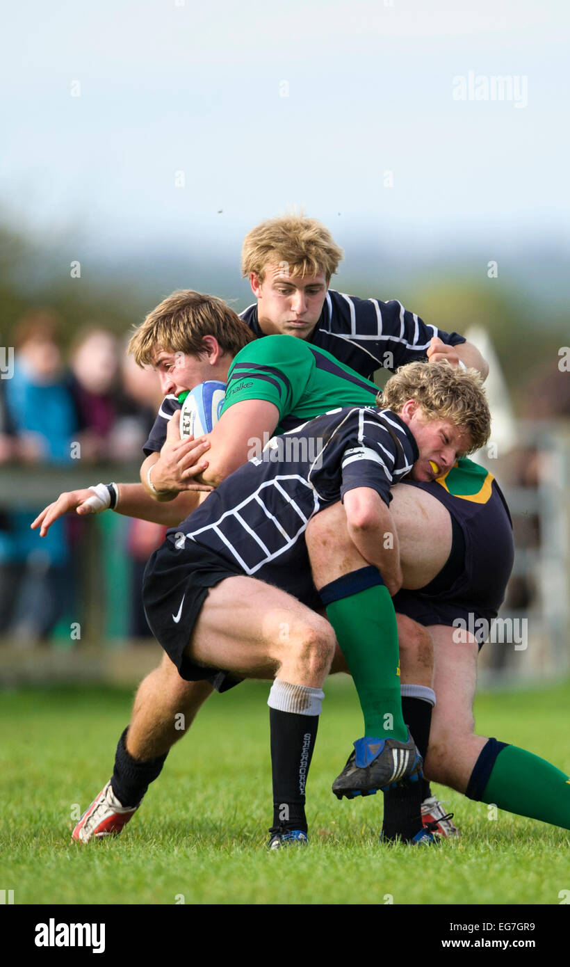 Rugby, player being tackled Stock Photo - Alamy