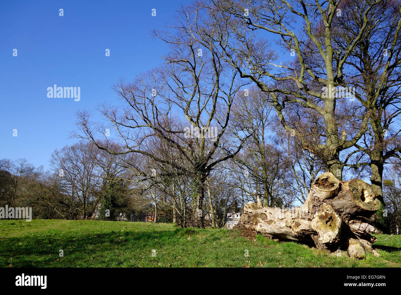 Malvern Link Common, Malvern Link, Worcestershire, England, UK Stock ...