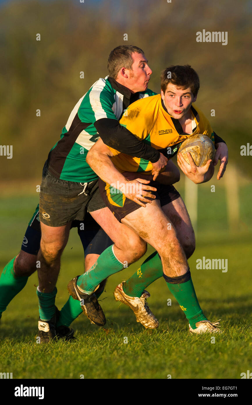 Rugby, player being tackled Stock Photo - Alamy