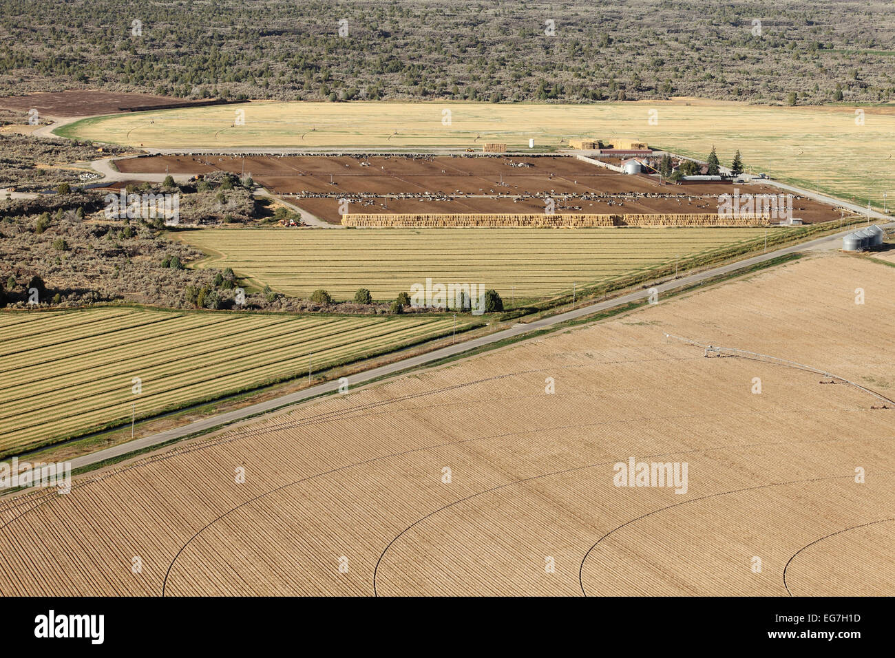 Modern farm buildings hi-res stock photography and images - Alamy