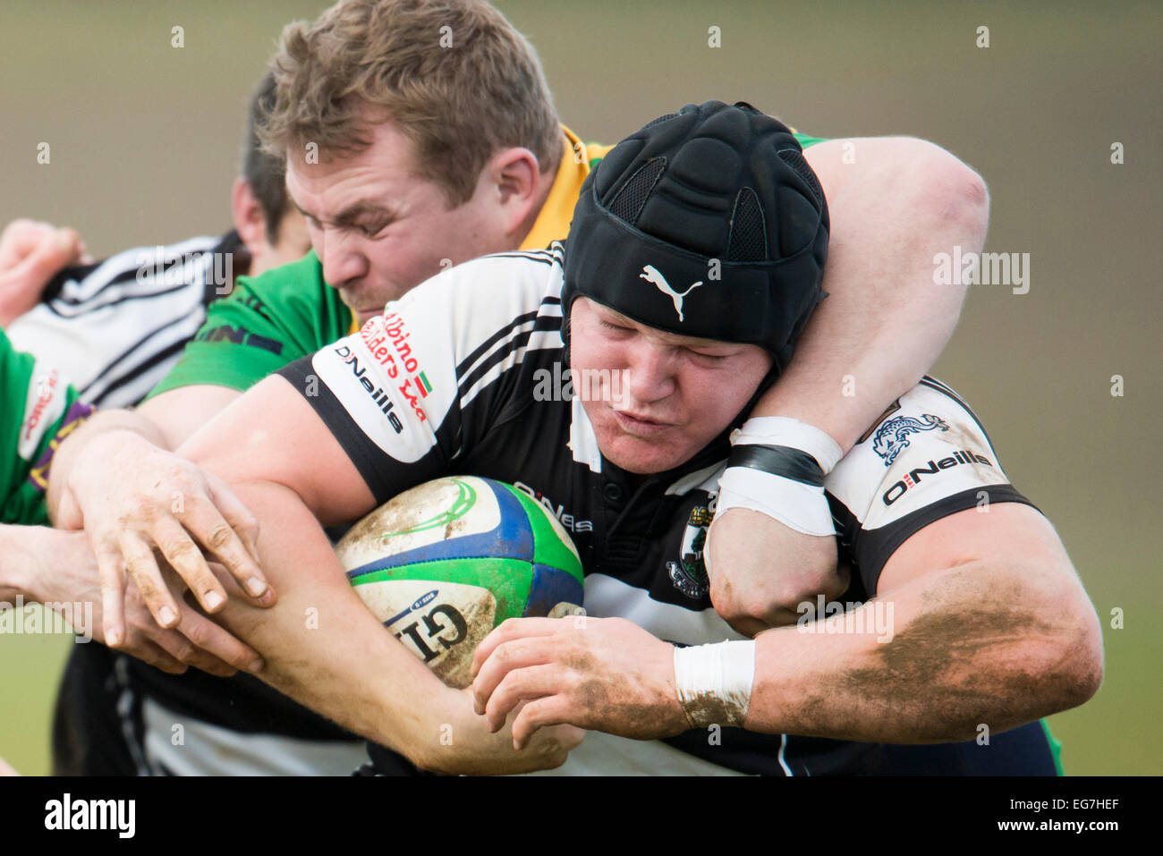 Rugby, player being tackled Stock Photo - Alamy