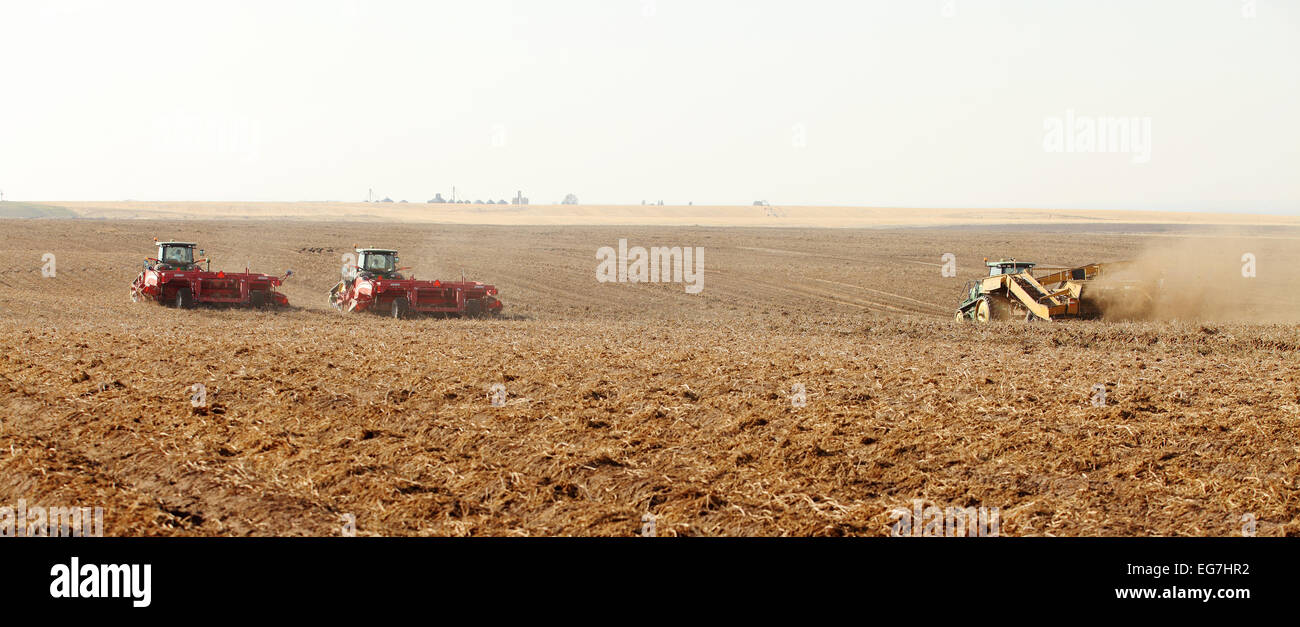 Farmers and field hands use farm machinery in the field harvesting ...