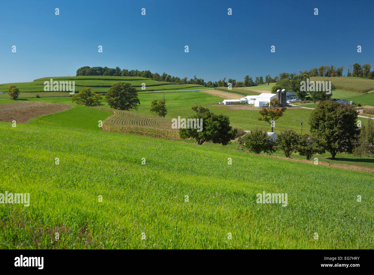 Amish pennsylvania usa hi-res stock photography and images - Alamy