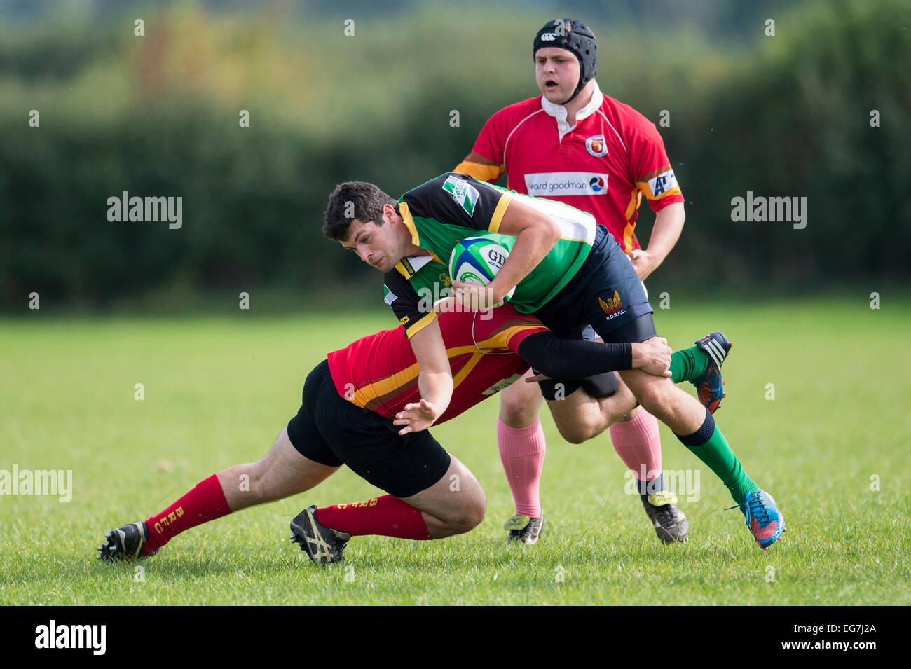 Rugby, player being tackled Stock Photo - Alamy