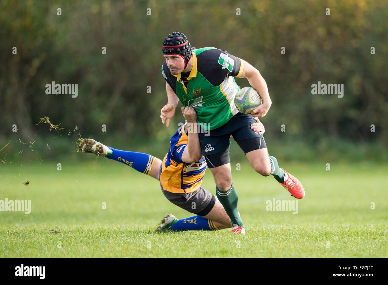Rugby, player being tackled Stock Photo - Alamy