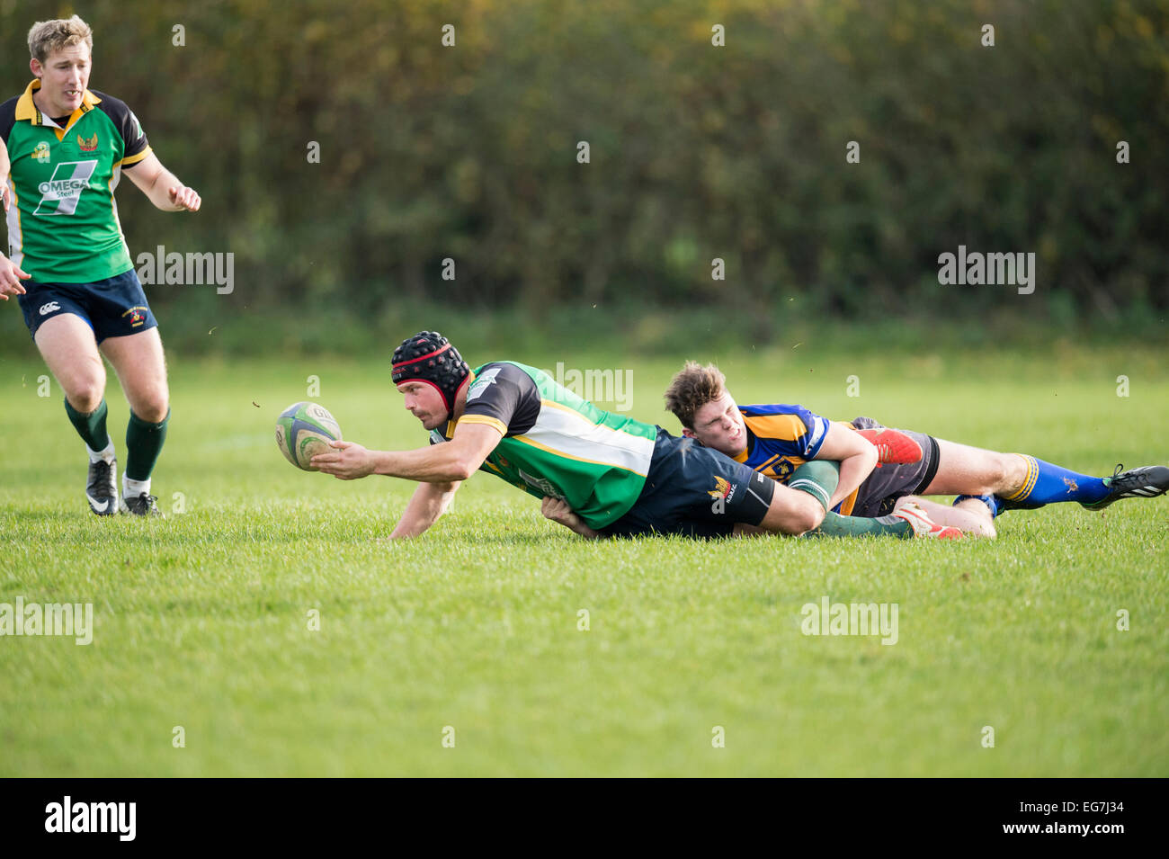 Rugby, player being tackled Stock Photo - Alamy