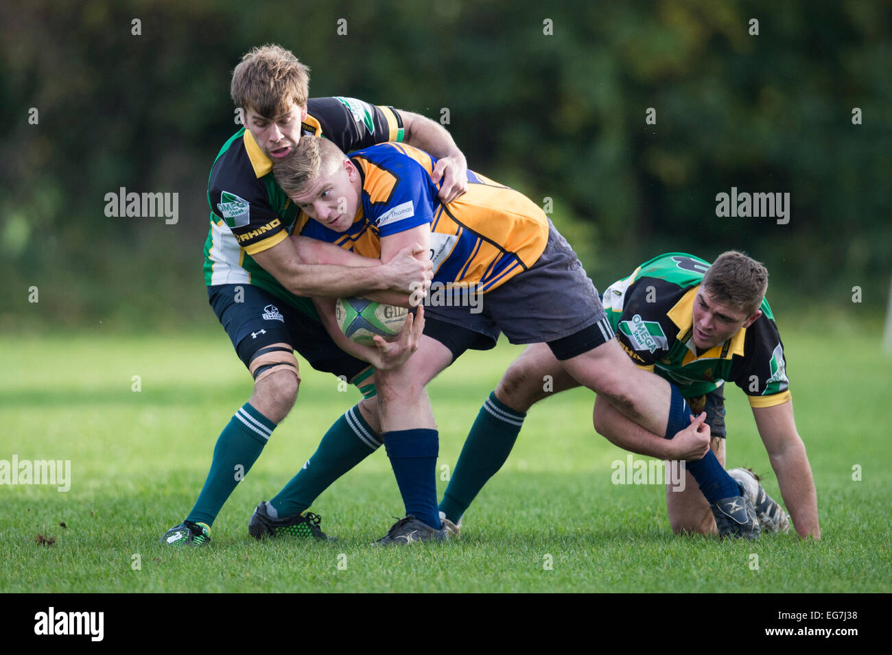 Rugby, player being tackled Stock Photo - Alamy