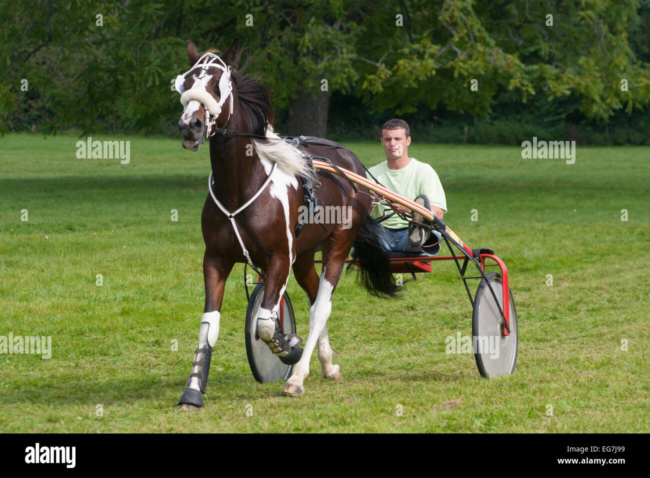 Man riding a Sulkie Stock Photo - Alamy
