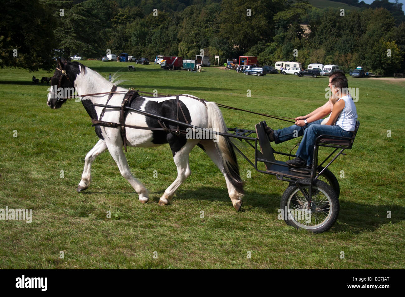 Gypsy Children playing on Sulkie Stock Photo - Alamy