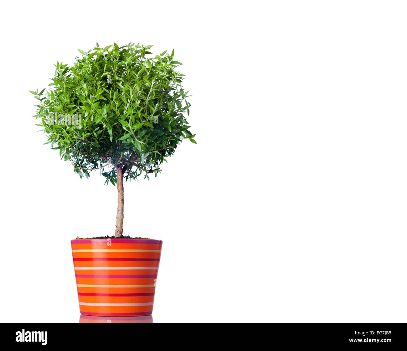 Background outdoor hi-res stock photography and images - Alamy