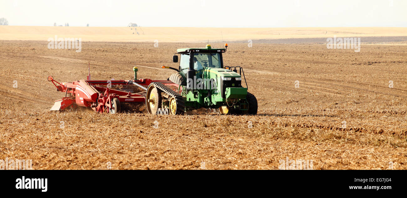 Farmers and field hands use farm machinery in the field harvesting ...