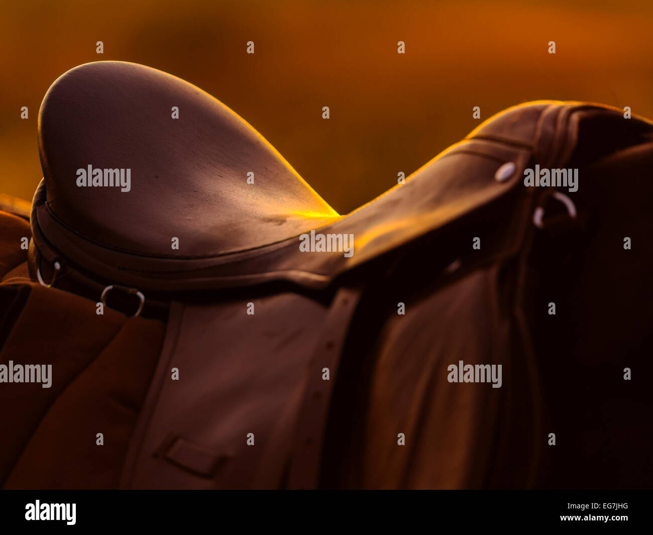Horse with saddle hi-res stock photography and images - Alamy